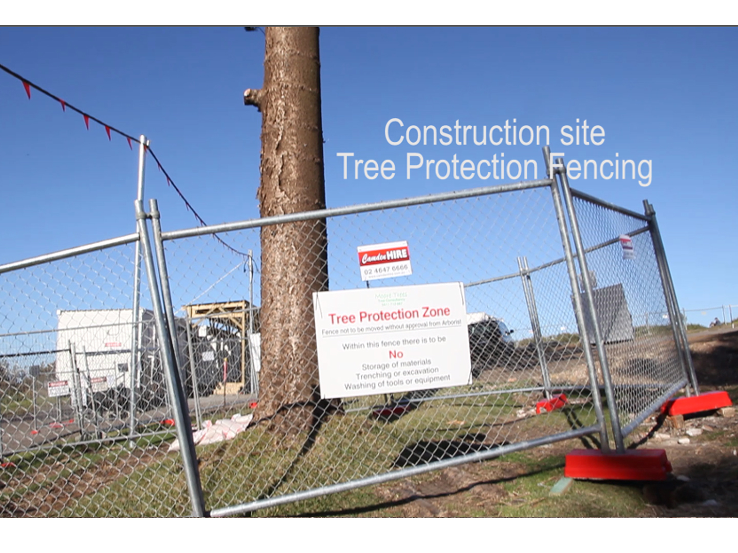 Educational videos - Moore Trees