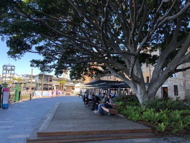 Projects - Moore Trees