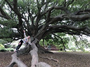 About Us - Moore Trees