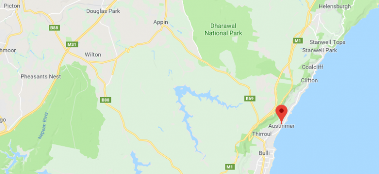 Contact - Moore Trees